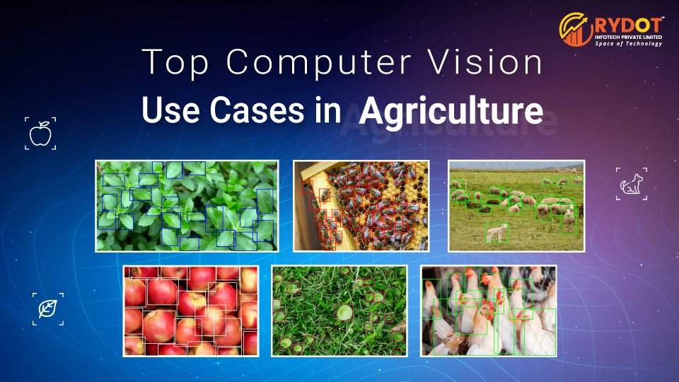 Top Applications of Computer Vision in Agriculture Sector in 2023